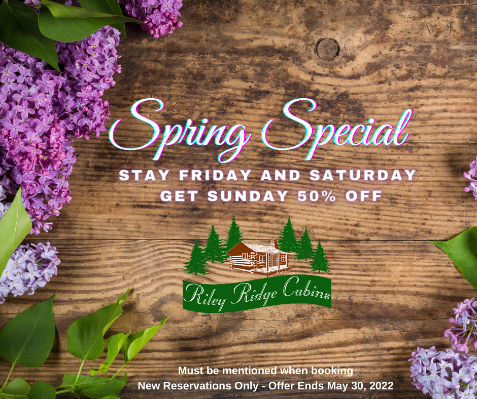 Riley Ridge Cabin - Hocking Hill Cabins - Logan, Ohio