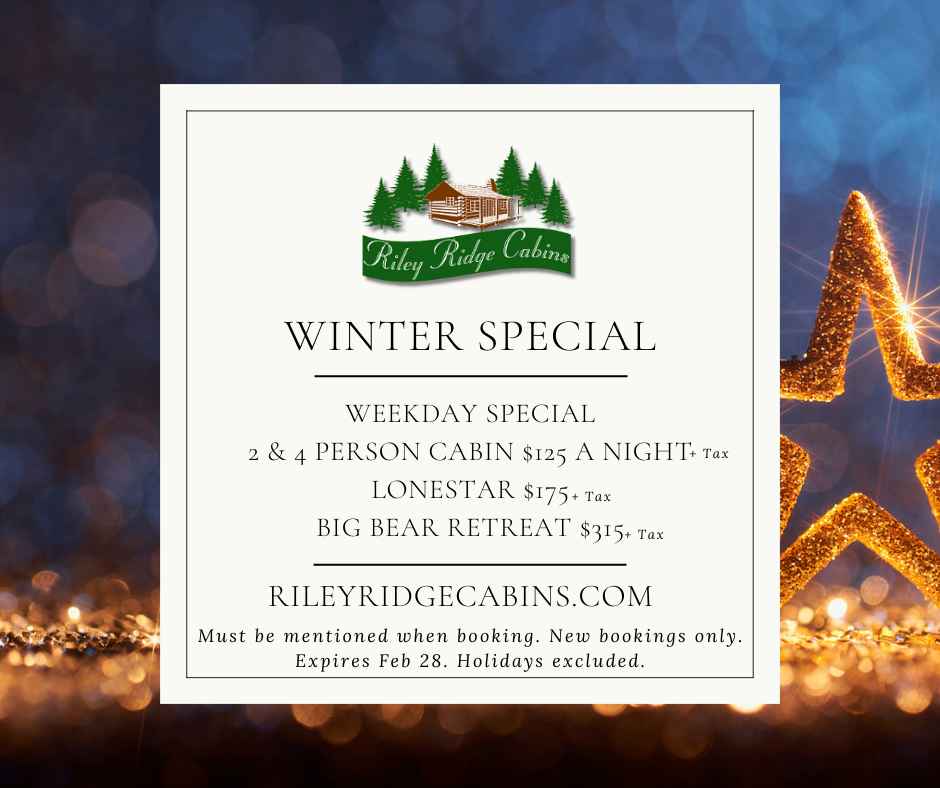 Riley Ridge Cabin - Hocking Hill Cabins - Logan, Ohio